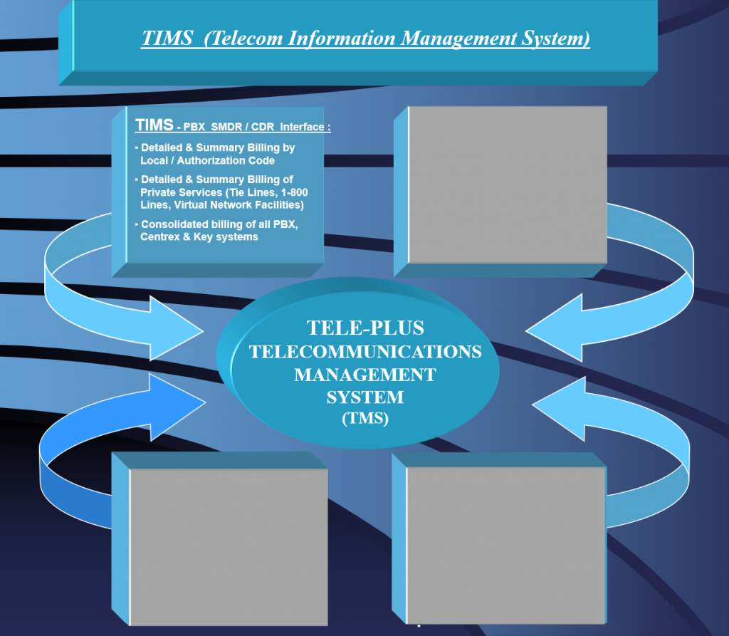Telecom Information Tims Tele Plus Management Inc